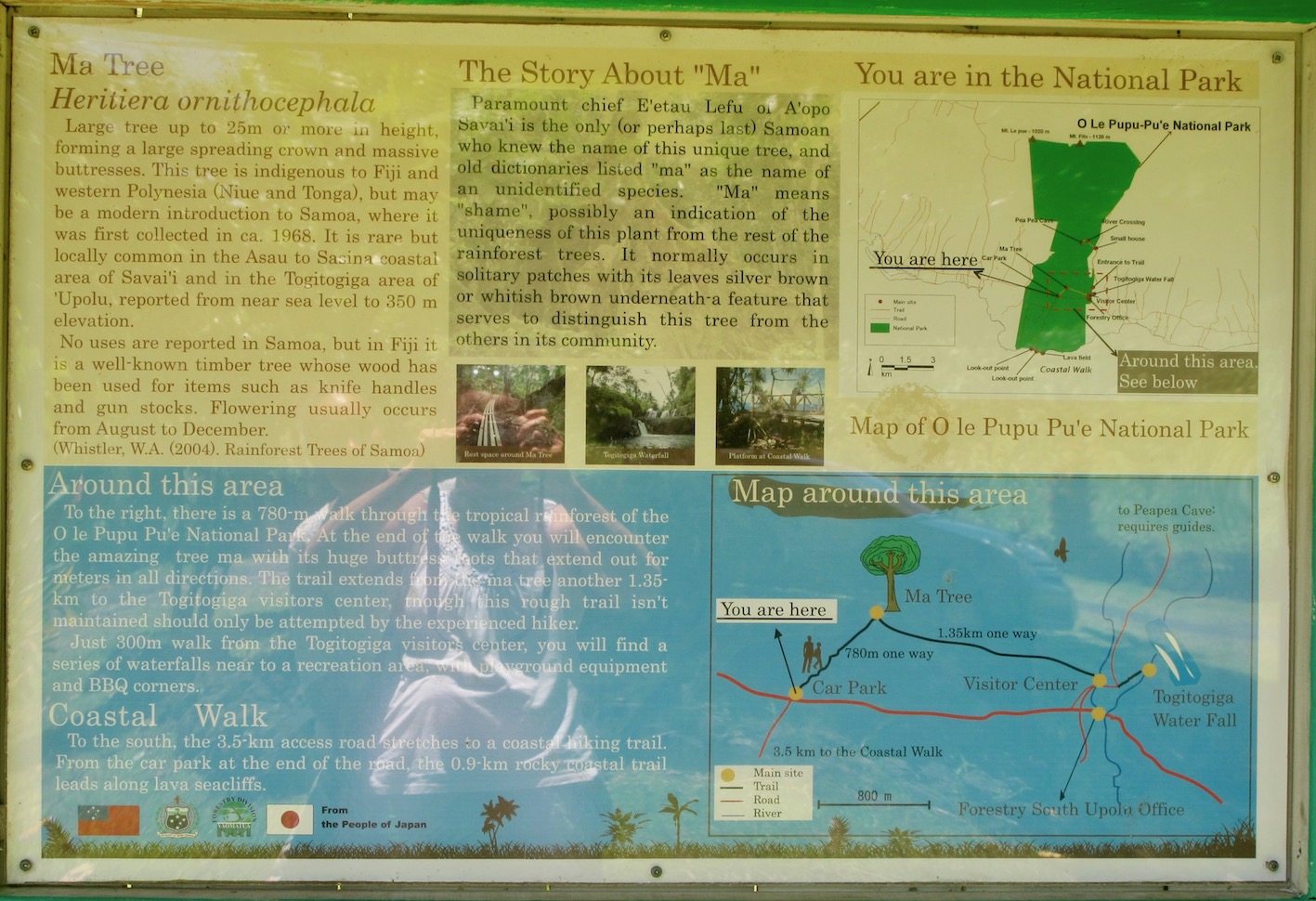 Hiking and Walking Samoa